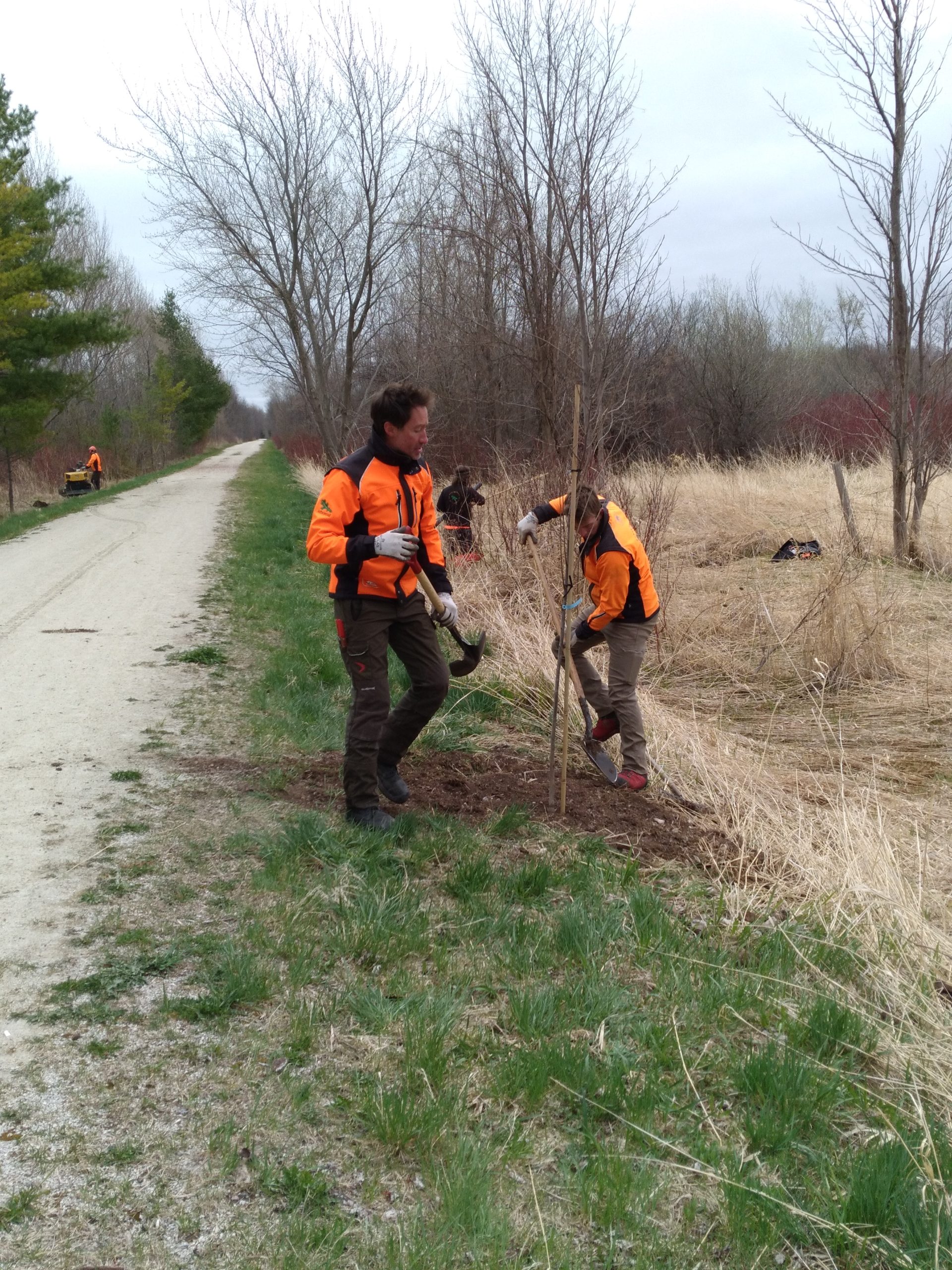 More trees are coming to the Georgian Trail! - 2024 update